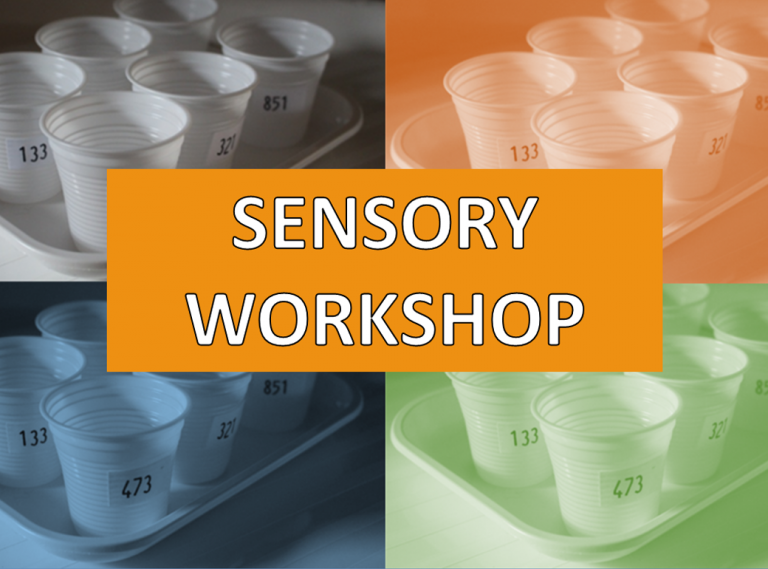Sensory Training & Workshop & Tests – Consumer Insight Consulting